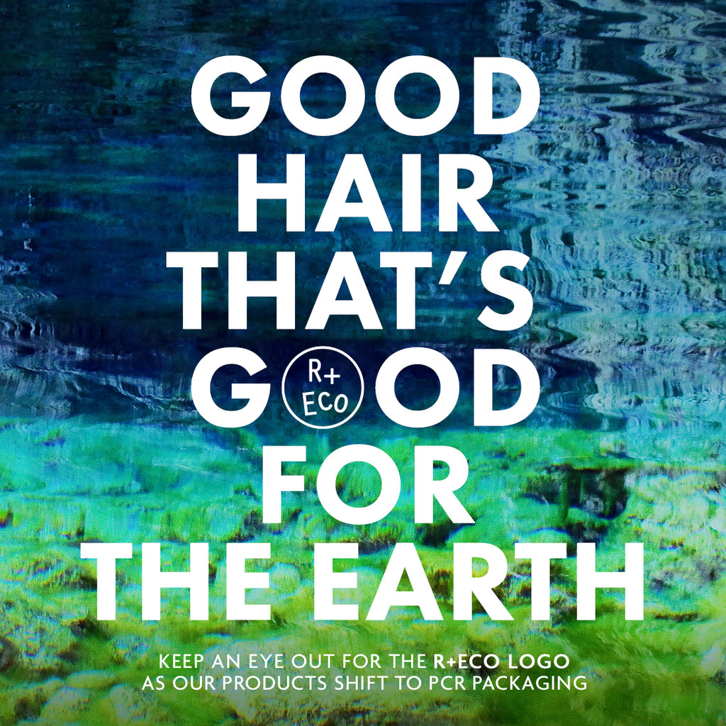 How To: Small Steps Toward Environmental Sustainability – R+Co