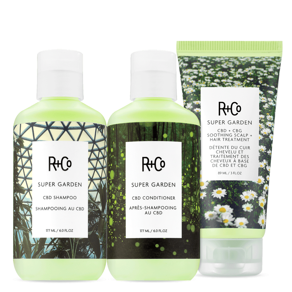 SCALP CARE Kit – R+Co